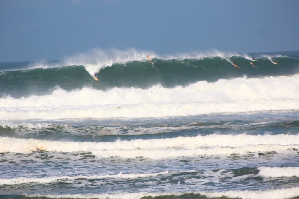 Big swell em SC - Cardosão XXL | Waves