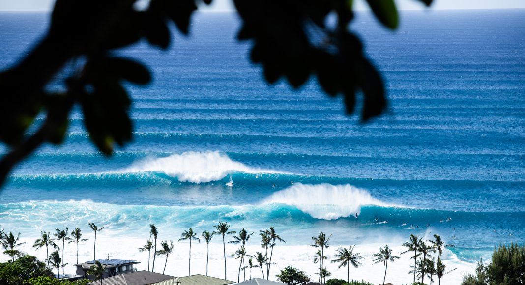 Raio-X Ecosurf - Expressão da consciência oceânica | Waves