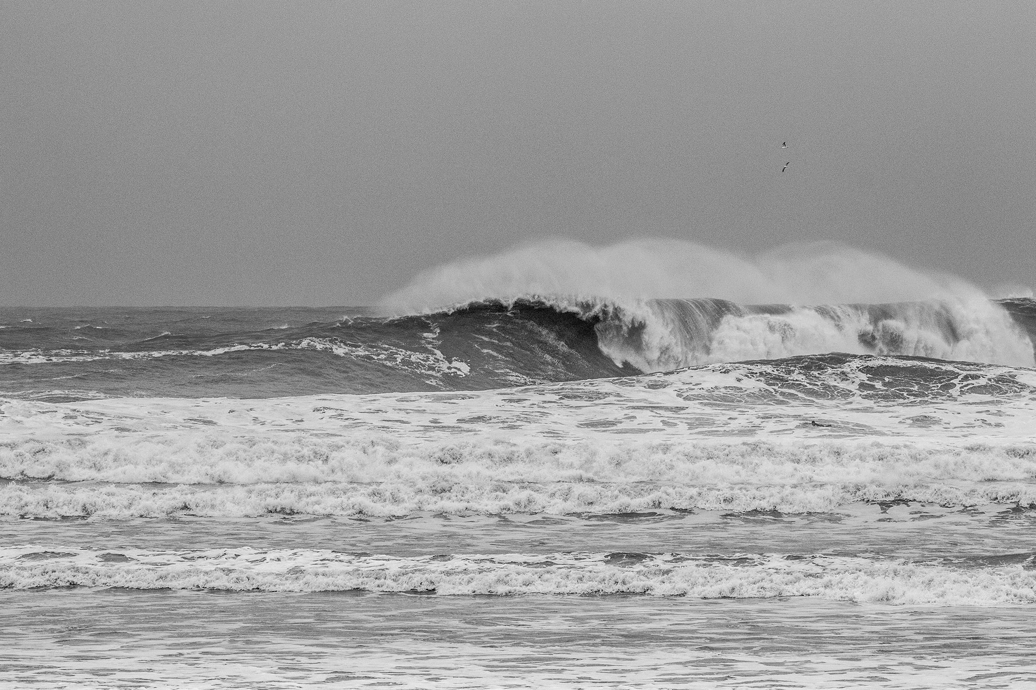 Praia do Cardoso - Ressaca brava | Waves